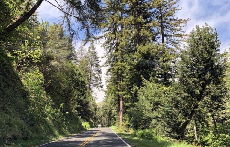 Enjoy A Day Trip Through Gorgeous Marin County California, A Feast For ...